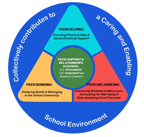 Peer Support and Relationships